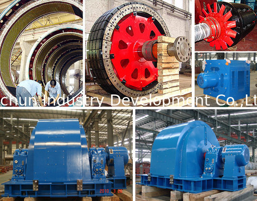 High Speed Hydraulic Power Generator, 0.1MW - 45MW Vertical Water Electric Turbine