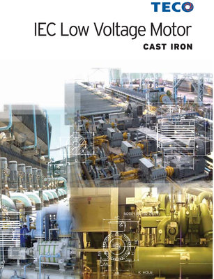ABB, SIEMENS, WEG, TECO, MATATHON, ATT, BROOK,  Three phase motor