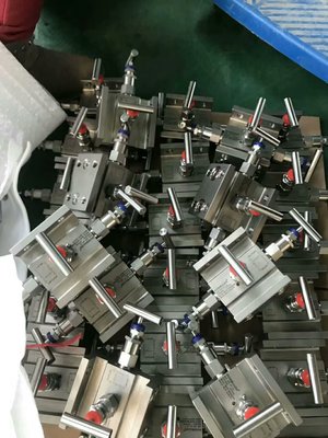 Needle valve Manifolds