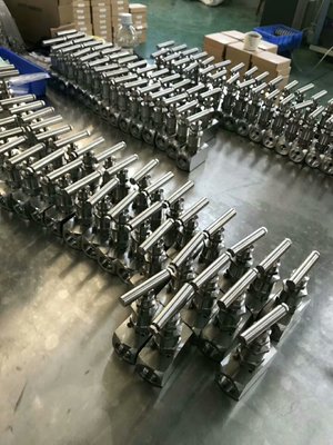 Needle valve Manifolds