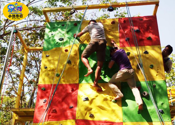 Commercial Childrens Rock Climbing Wall , Fiberglass Kids Indoor Climbing Wall