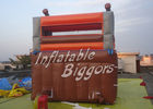 Safe Pirate Ship Inflatable Water Slide Playground For Commercial