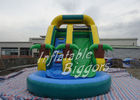 Amusement Park Inflatable Giant Blow Up Water Slides , AU Inflatable Fun Rentals