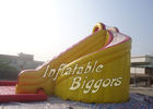 Custom Inflatable Adult Water Slide With Swimming Pool , Inflatable Combo Water Slide