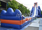 Garden Residential Hippo Inflatable Water Slide Rental With Durable Vinyl