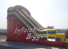 Residential Slippy Splash Kids Inflatable Slides Dual Lane , 100lbs - 800lbs