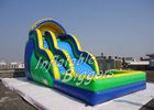 Residential Green Inflatable Dual Lane Slide For Kids / Adults , ASTM F963 Brazil