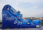 Dolphin Slip Double Kids Inflatable Slides