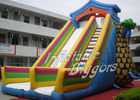 Giant Bouncer Toys Inflatable Dry Slide For Kids Birthday Party , 100lbs - 3000lbs