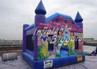 Blue Rental Inflatable Amusement Park / Inflatable Princess Bouncing Castles HR4040