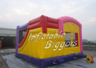 Promotion Inflatable Bounce Slides Rentals , PVC Bounce House Moonwalk