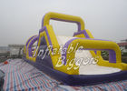 Outdoor Inflatables Maze Playground Game ASTM F963 , Fun Inflatables