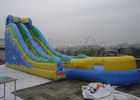 Giant Blue PVC Kids Inflatable Slides Dry Slides For Rental Backyard Outdoor Child Slide
