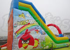 Amusement Park Kids Inflatable Slides , Angry Birds Inflatable Dry Slides