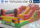 Removable Giant Kids Inflatable Slides Commercial Rental Business Amusement Park