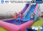 420D Nylon Inflatable Mini Residential Inflatable Water Slides Home Use