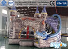Professional Personality Dragon Inflatable Slide Commercial With Slide