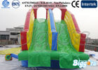 Double Lanes Inflatable Water Slides Game With Removable Swimming Pool