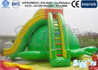 Ausement Park Kids Inflatable Water SlideTurtle with Climbing Ladder