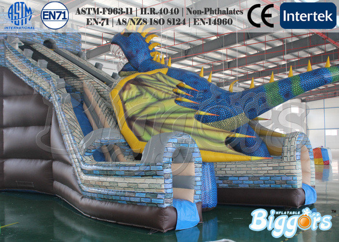Commercial Professional Grade Bounce House Dragon , Kids Inflatable Slides In Zoo