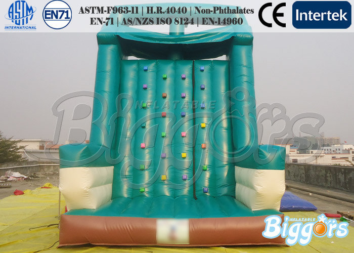 Double Side Inflatable Sports Games / Inflatable Climbing Mountain For Kids Or Adults