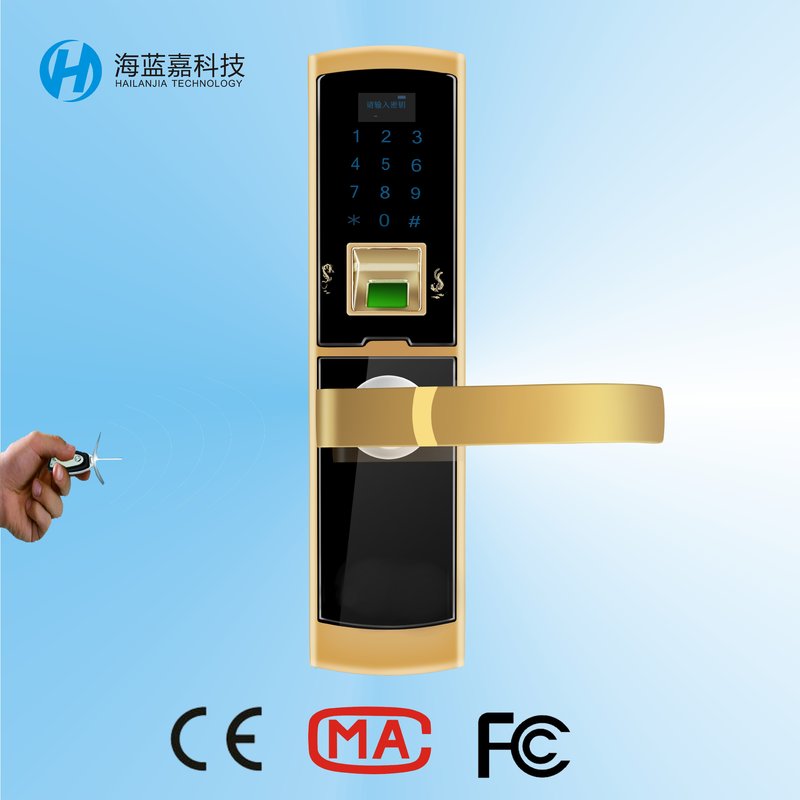 Lowest price manufacture zinc alloy keyless entry door locks for homes