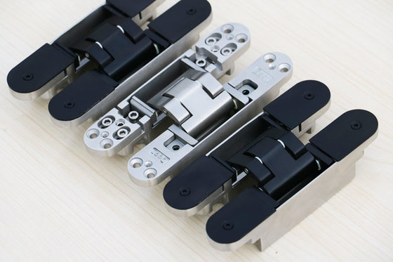 SUS 304 Stainless Steel Concealed Hinge Black