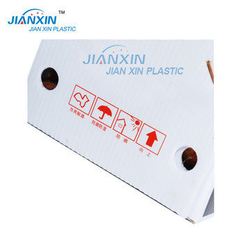 2017 Most Fashion Designed/ Colorful Printing PP Corrugated Plastic Fruit  Box