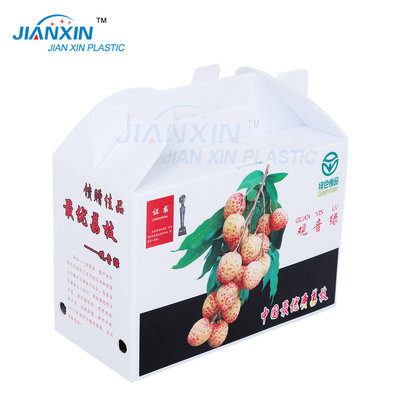 Customized Plastic Corflute Box/ Plastic Corrugated Fruit Box/ PP Hollow Fruit Box