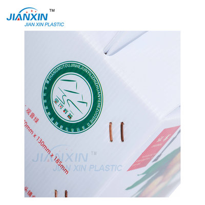 Customized Plastic Corflute Box/ Plastic Corrugated Fruit Box/ PP Hollow Fruit Box