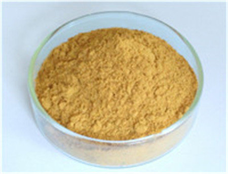 American Ginseng P.E，American Ginseng P.E Manufacturer，American Ginseng P.E Supplier，yellow American Ginseng P.E Powder