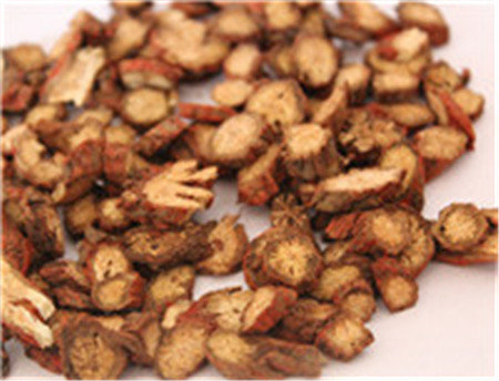 Salvia Miltiorrhiza Extract