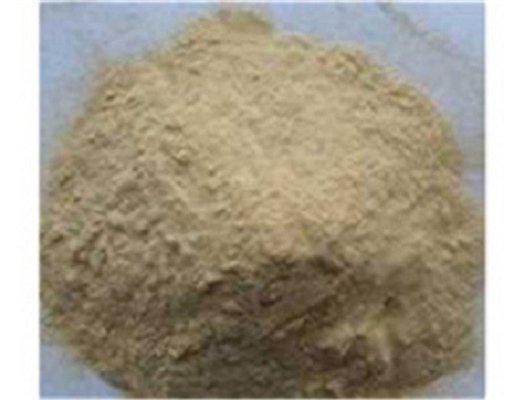 Sophora Root Extract Supplier