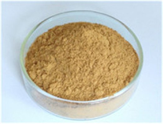 Astragalus Root Extract protect liver Manufacturer