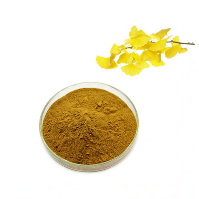 High quality ginkgo biloba extract powder custom specifications