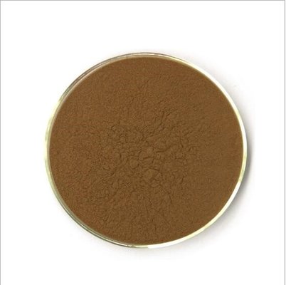 100% Natural Ginkgo Biloba Extract USP Grade Ginkgo Biloba Powder