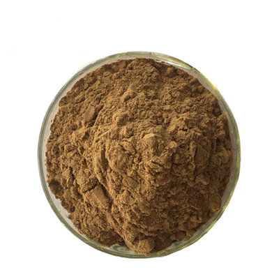 Wholesale Bulk Ginkgo Biloba Extract EP Ginkgo Flavones Powder