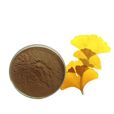 Wholesale Bulk Ginkgo Biloba Extract EP Ginkgo Flavones Powder