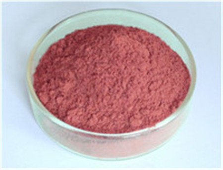 Grape Seed Extract，antioxidant Grape Seed Extract Supplier，anti-tumor Grape Seed Extract Manufacturer，anti-tumor Grape S