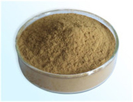 SEA BUCKTHORN EXTRACT,Sea Buckthorn Extract Manufacturer