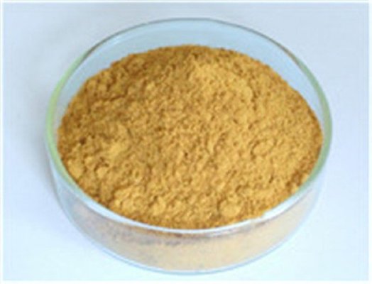 American Ginseng P.E Supplier