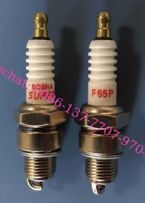China F65P  SUPER BOSNA  SPARK PLUG manufacturer