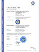 Good quality Thermoplastic Splint Sheet for sales