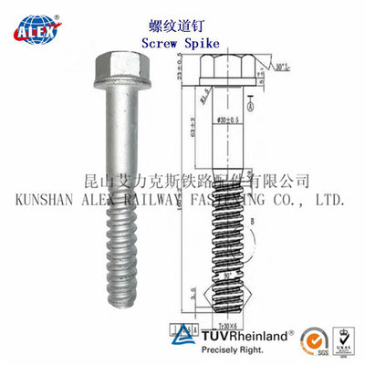 rail sleeper coach screw spike,railway fastener rail sleeper coach screw spike