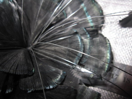 Black Stripe Peacock Feather Flower Fascinator For Hat , Party Decorative Dance