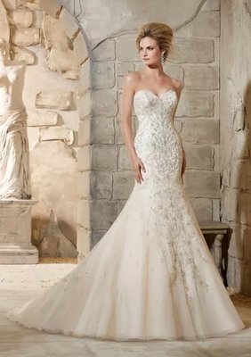 Embroidery Bridal Fit And Flare Wedding Gown With Long Train Customized Size