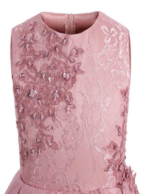 Princess Pink Lace Flower Girl Dress / Birthday Little Girl Flower Girl Dresses