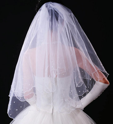 Cotton Thread Cathedral Length Veil / Garment Appliques Ivory Wedding Veils