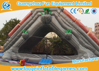 Animal Theme Large Inflatable Water Slides For Outdoor Rental Business