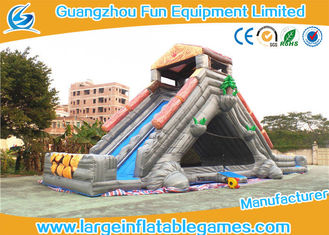 Animal Theme Large Inflatable Water Slides For Outdoor Rental Business